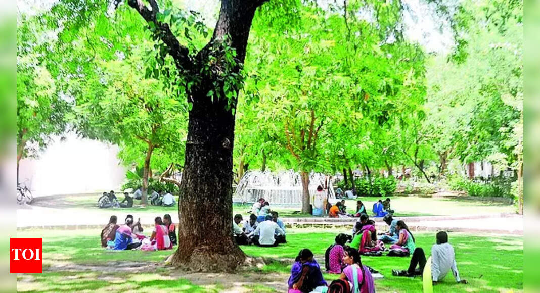 Tree Census: Ahmedabad Tree Census: AMC Initiates Survey After 12 Years ...
