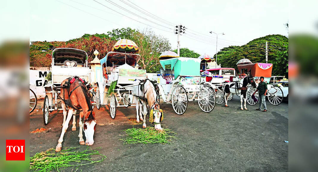 Tonga Tourism: Mysuru Tonga Tourism Scheme: Enhancing Heritage ...