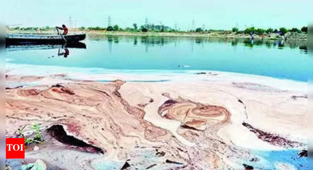 Yamuna Pollution: DPCC Study on Yamuna Pollution Sources | Delhi ...