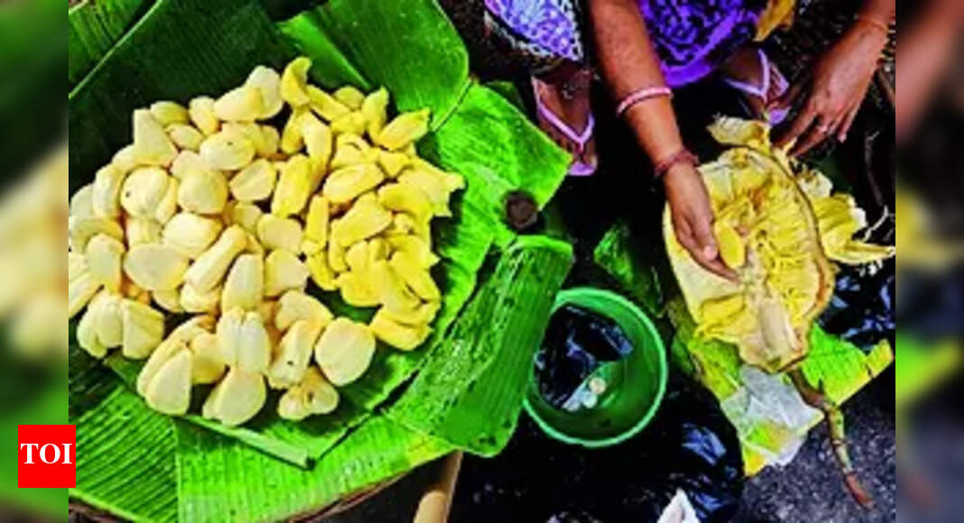 Revolutionizing Jackfruit Processing: Nitte Cluster Launches Innovative ...