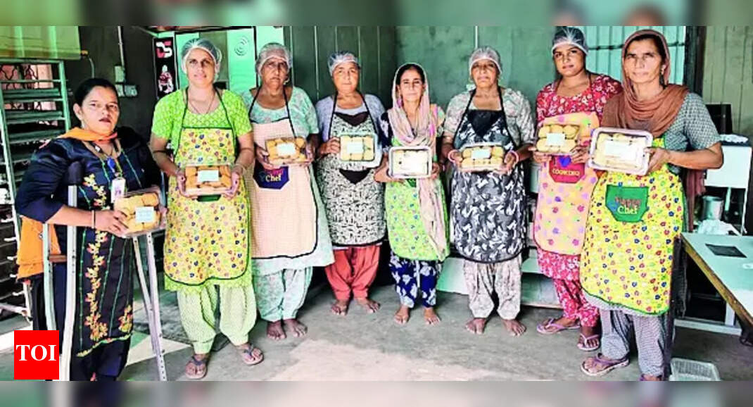 Sarabjeet Kaur: Empowering 23 SHGs: Sarabjeet Kaur's Inspiring Journey ...