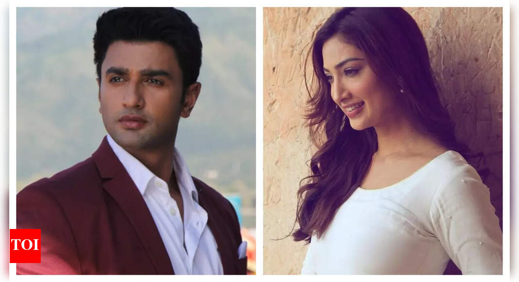 'Pashminna - Dhaage Mohabbat Ke' is to air its last episode on March 23 ...