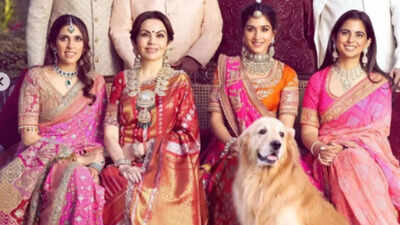 Meet Happy, the Ambanis' cute pet dog who is part of their family ...