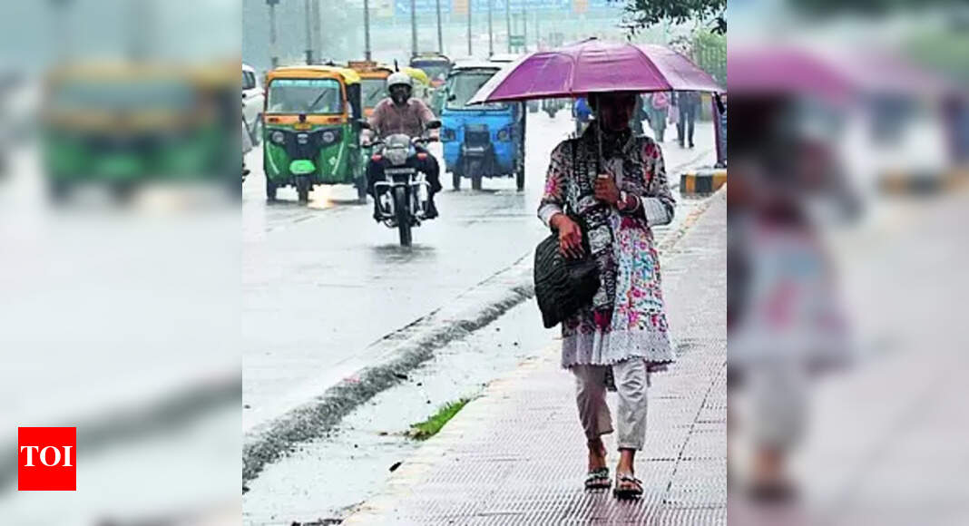 Patna Weather News: ‘State likely to get more rain till March 21 ...