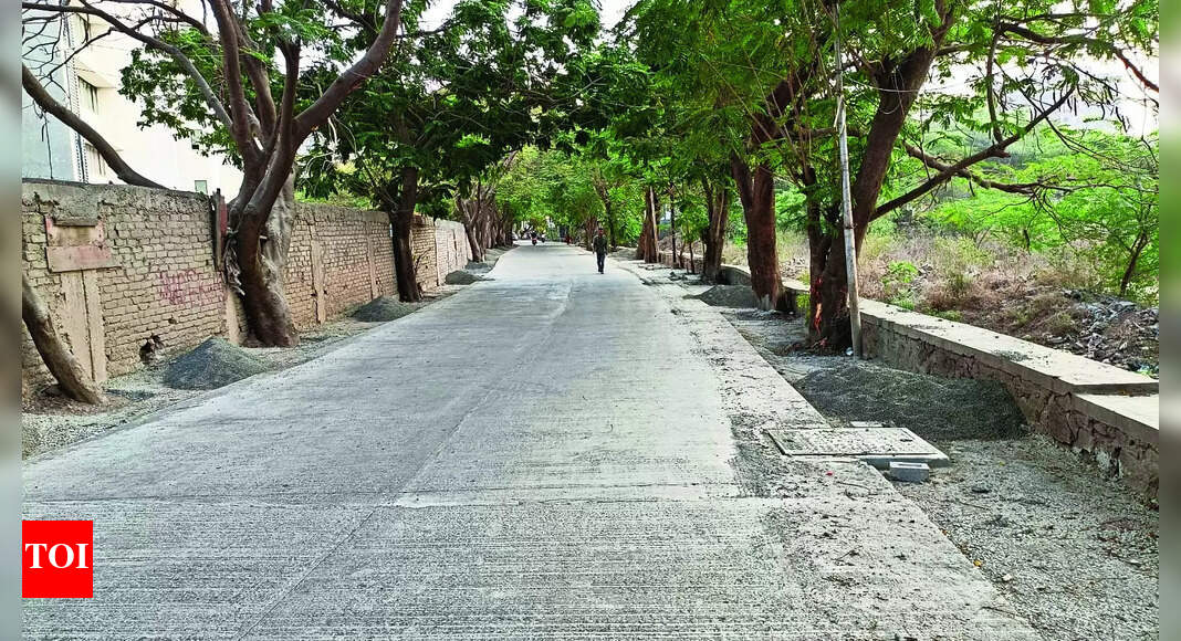 NIBM Road: Pune Residents Upset Over 87 Trees Trapped in Cement on NIBM ...