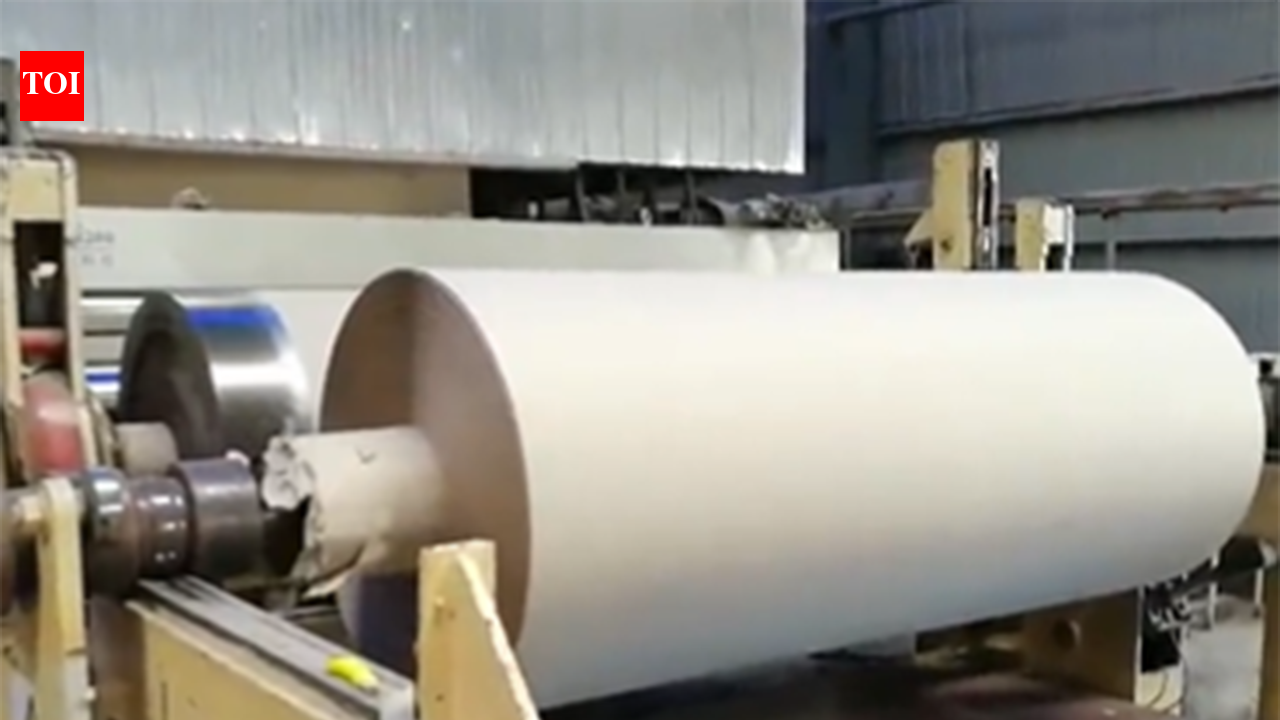 How was paper invented? A timeline of the interesting journey