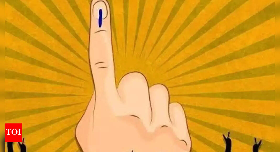 Lok Sabha polls 2024: Election Commission's voting guide for senior ...