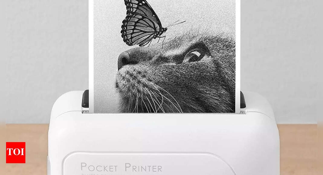 Best Portable Printers: Top Picks That You Can Carry Along - The Times ...