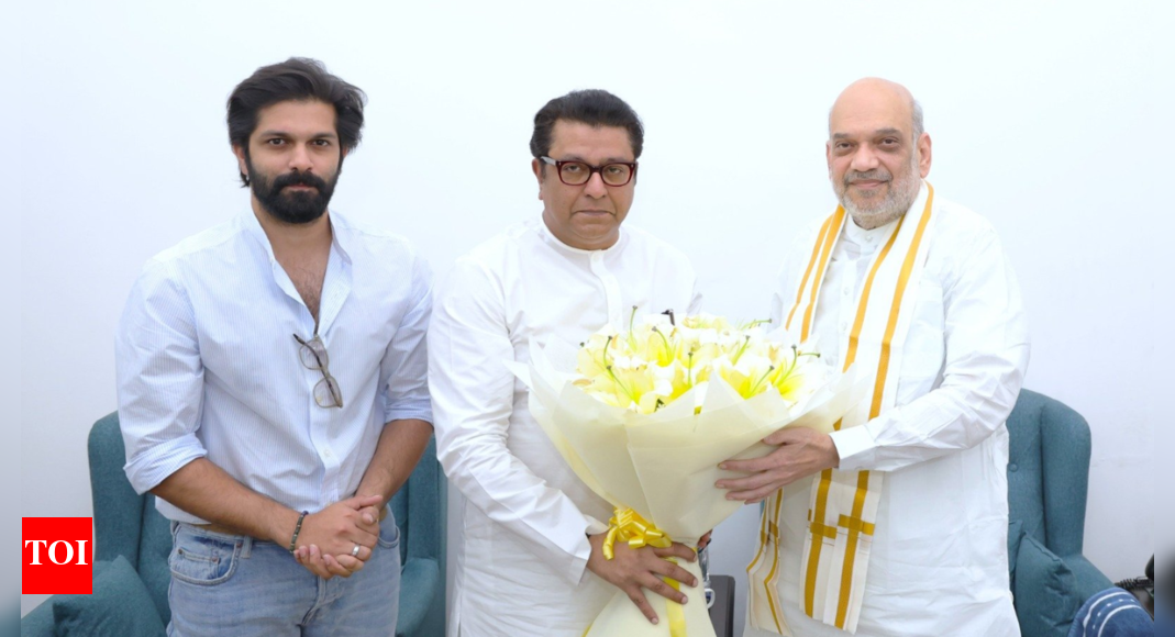 ‘BJP may give Raj Thackeray seats for only state, civic polls’ | Mumbai News - Times of India