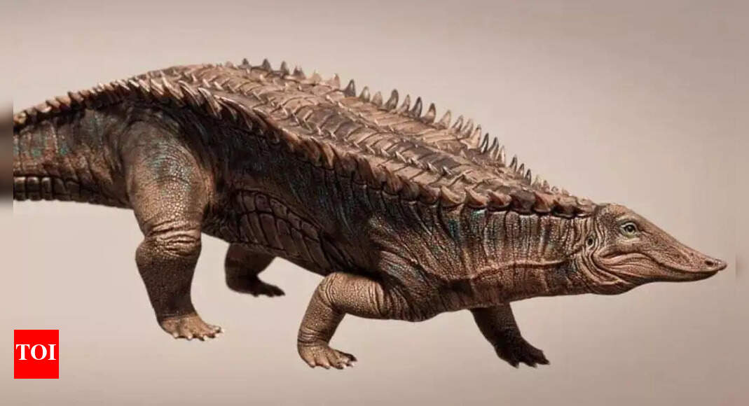 This 200-million-year-old ancient crocodile walked the earth before ...