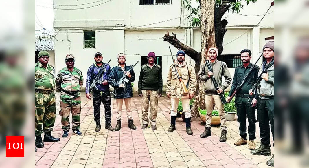 Poacher: Poacher Held With Three Guns In Kuldhia Sanctuary ...