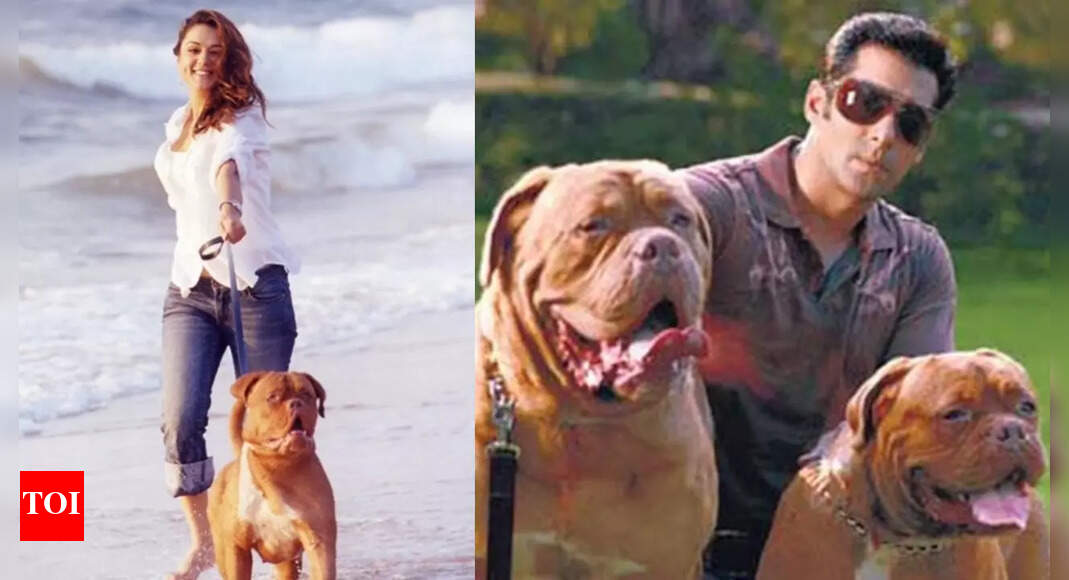 Preity Zinta shares a throwback picture with Salman Khan's late pet dog ...