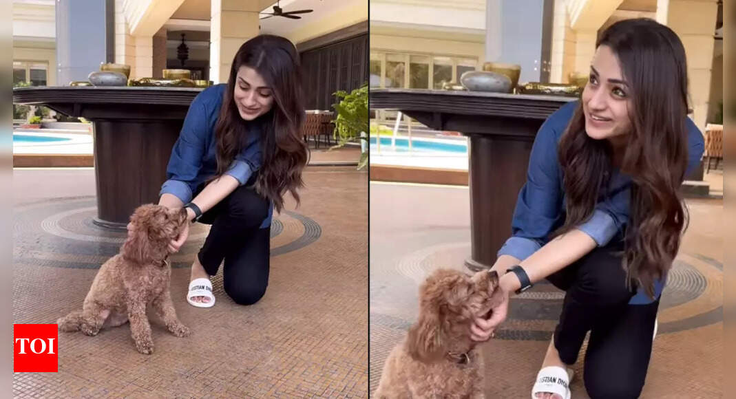 Trisha Krishnan shares sweet moments with Ram Charan and Upasana ...