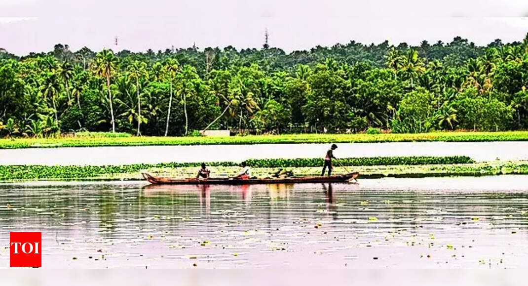 Vellayani Lake: Project To Have Impact On Environment ...