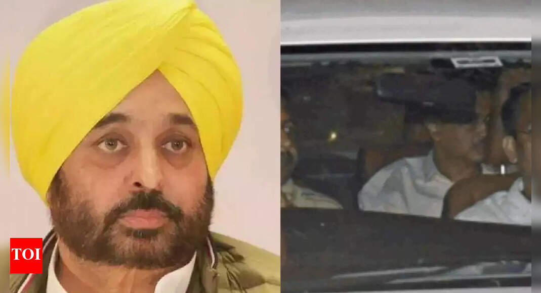 Bhagwant Mann: You can arrest Arvind Kejriwal, can't suppress his ideology | Punjab CM Bhagwant ...