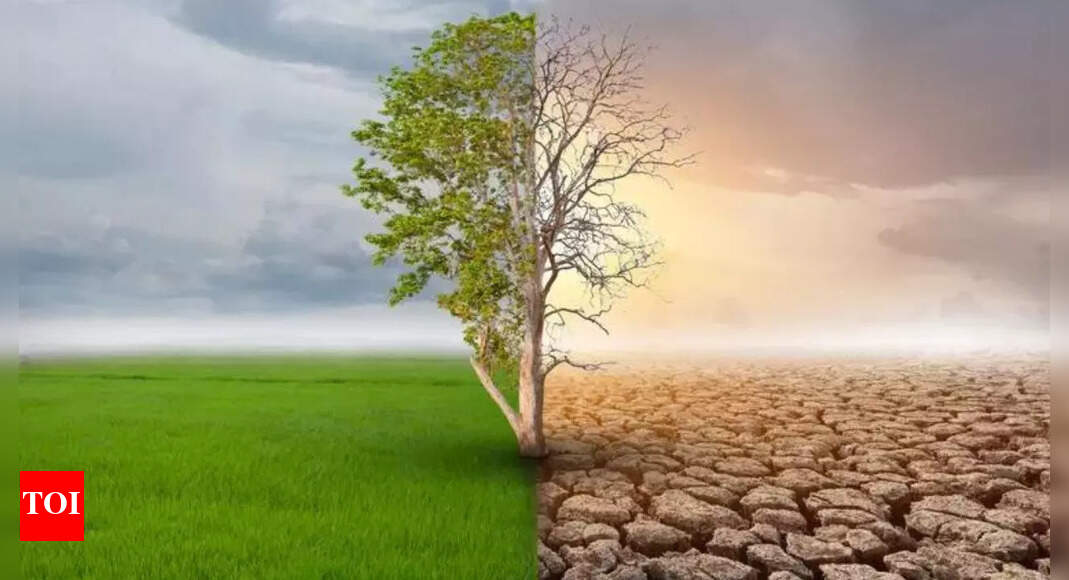 Global warming to raise food prices, inflation: study - Times of India