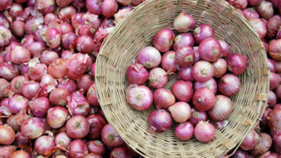 Govt extends ban on onion exports till further orders - Times of India