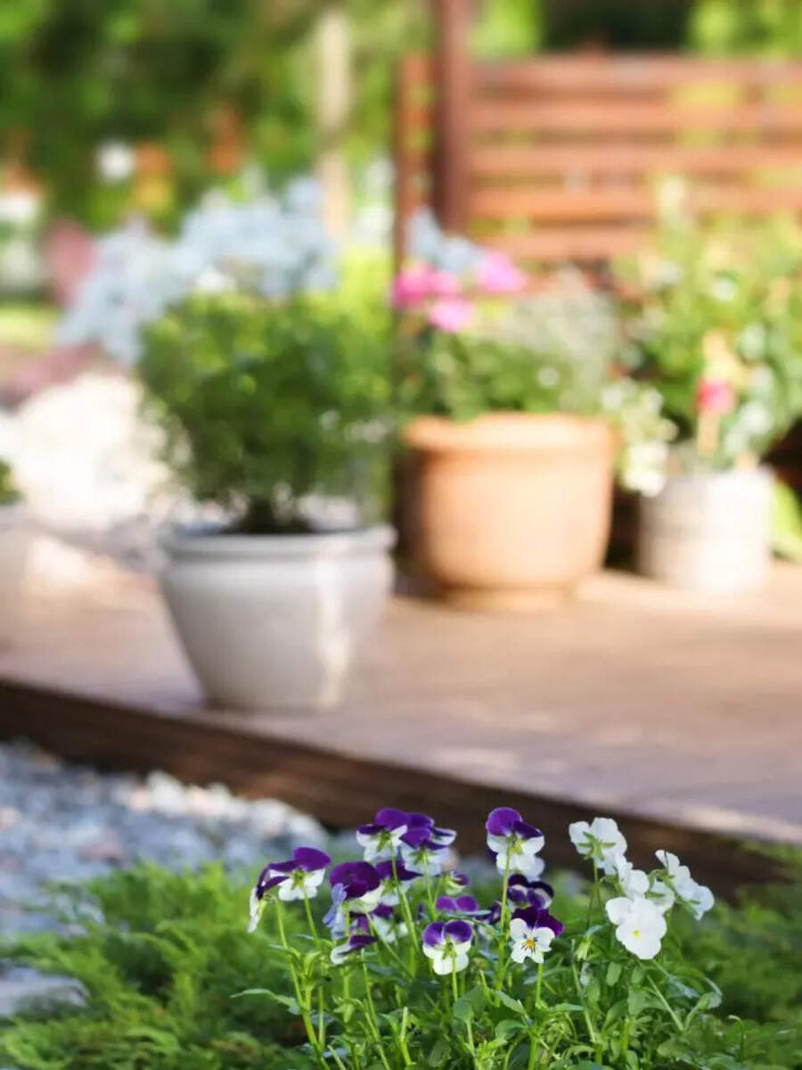 10 practical tips to create the most beautiful home garden | Times of India
