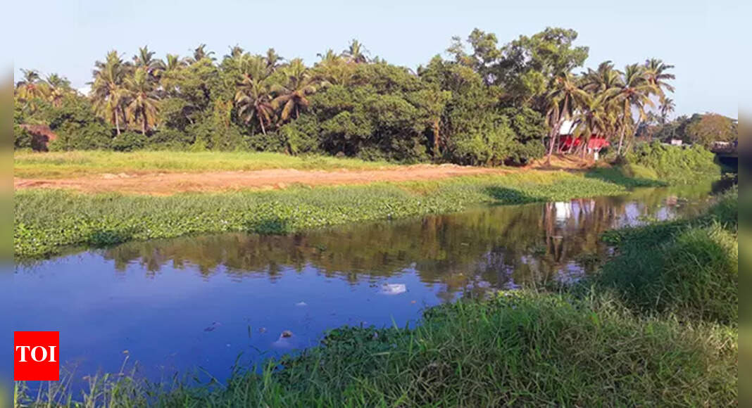 Sal River: Filthy flows the Sal - Times of India