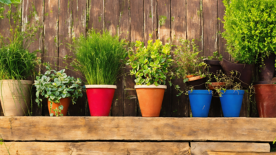 Climate change is shifting the zones where plants grow - Here's what ...