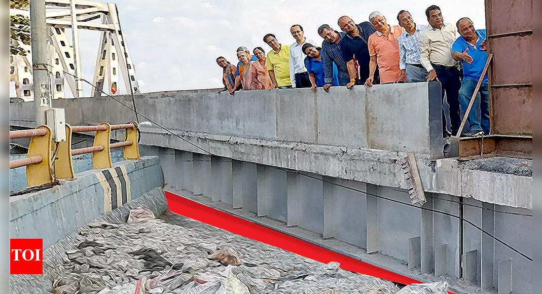 A bridge stranger than any fiction | India News - Times of India