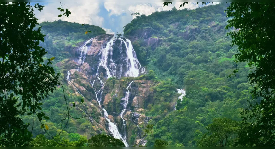 Goa beyond beaches: Unmissable wildlife experiences for nature lovers ...