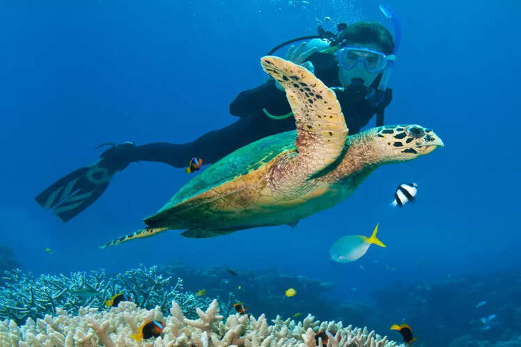 Wildlife Destinations: Travel the world for these unique wildlife ...