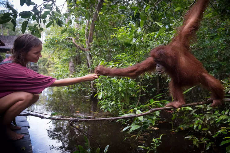 Wildlife Destinations: Travel the world for these unique wildlife ...