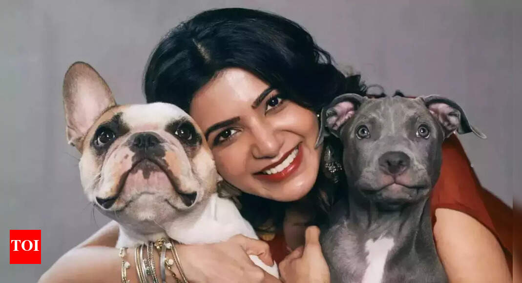 Samantha Ruth Prabhu says, 'There is only one dangerous breed, and it ...