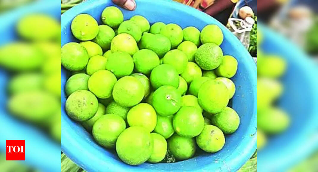 Lemon Price: Dip In Yield, Lemon Price Shoots Up From ₹5 To Nearly ₹10 ...
