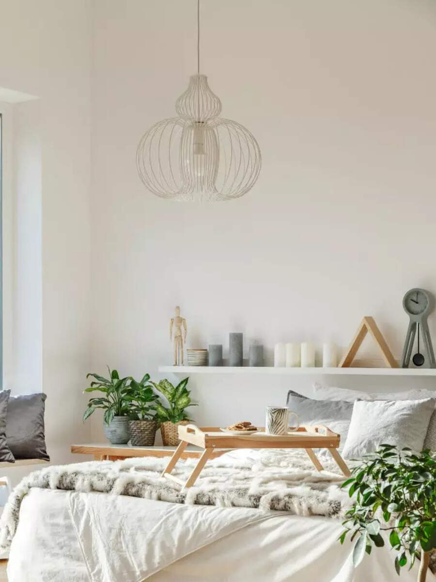 8 bedroom plants that can help you sleep peacefully | Times of India