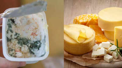 Can cheese go bad? Ways to check it at home - The Times of India