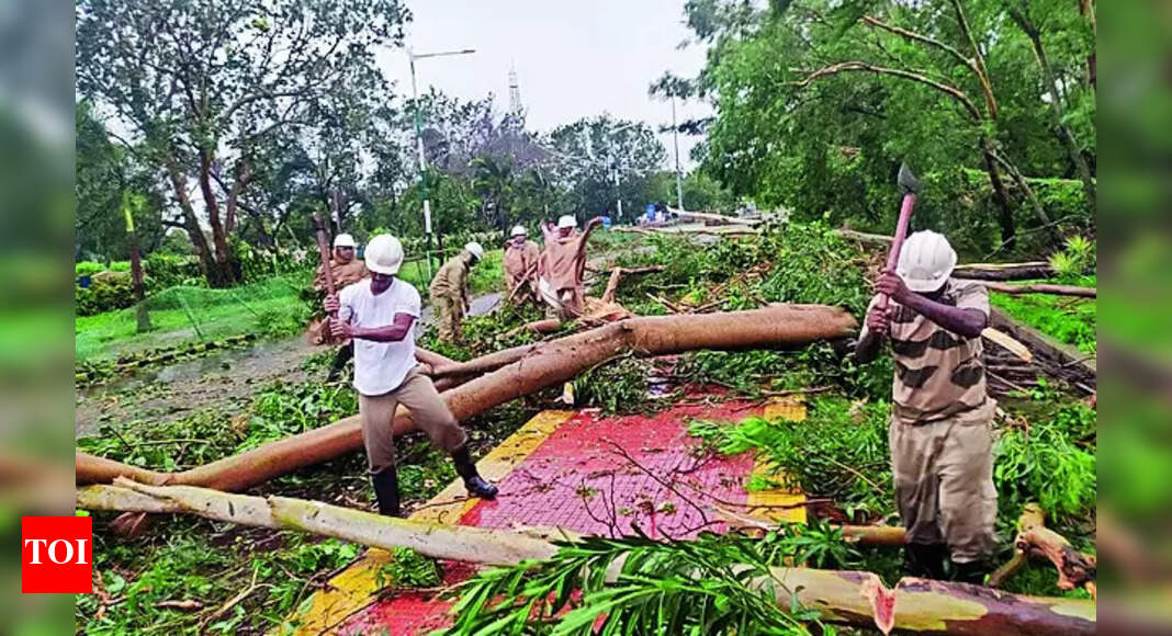 Disaster Management: Bjd Makes Disaster Mgmt Poll Plank, Highlights ...