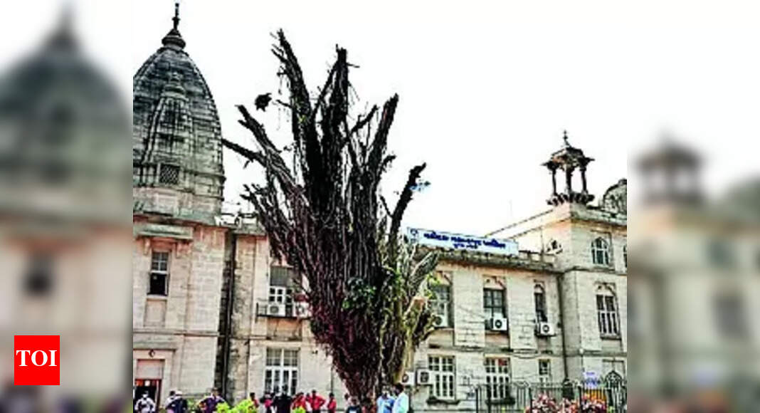 VMC Panel: Vmc Panel To Challenge 32cr Payment Order | Vadodara News ...