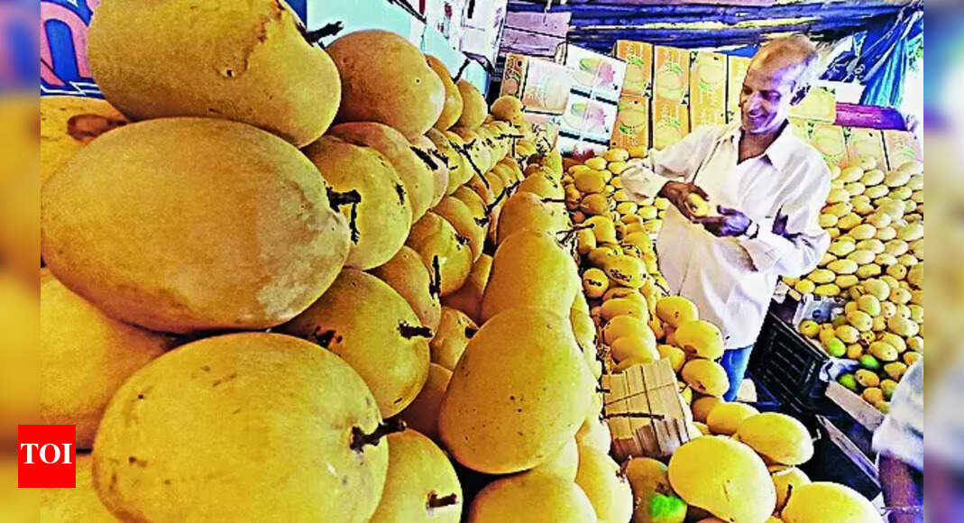 Mango Season: Mango Season Begins Early In Vijayawada | Vijayawada News ...