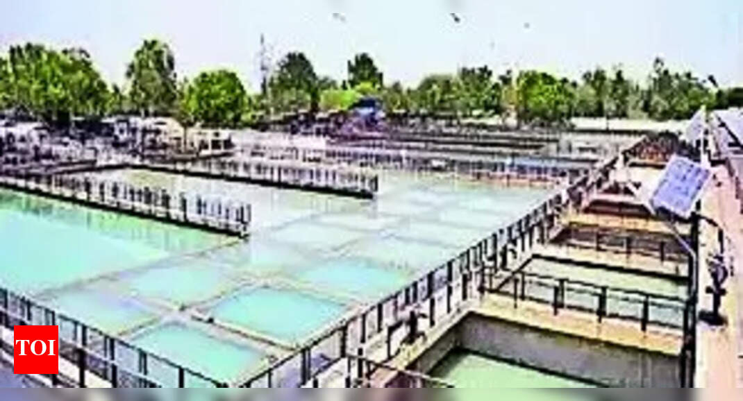 Mc Floats ₹67cr Tender To Overhaul Entire Machinery | Chandigarh News ...