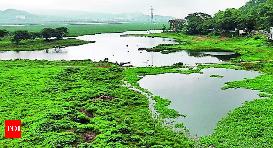 Deepor Beel Wildlife Sanctuary: Wetland ‘denotified’: Hc Seeks Govt ...