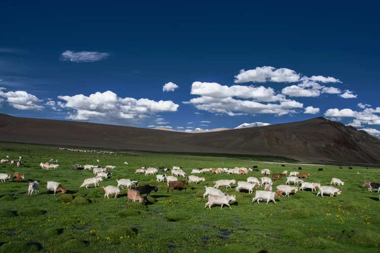 India Remote Locations: India's most remote locations and what makes ...