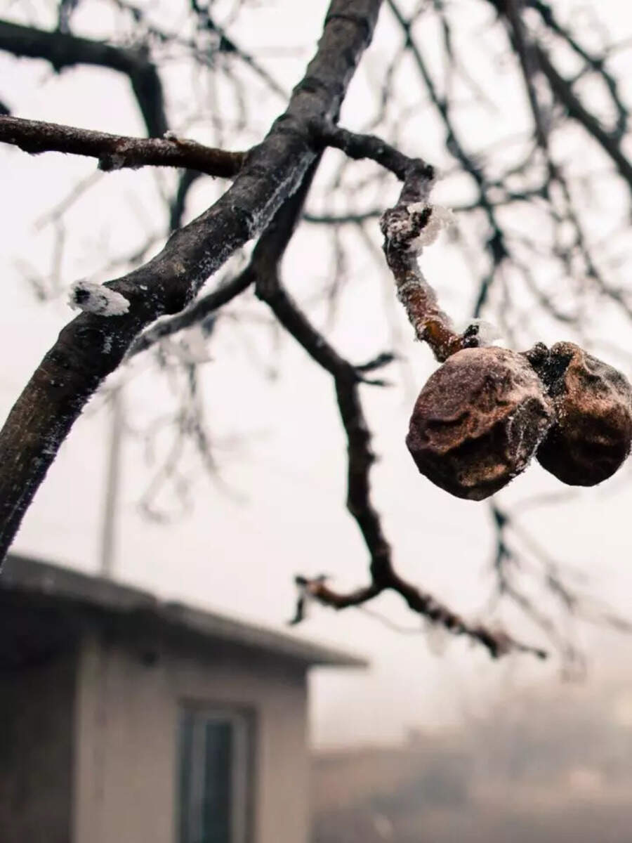 India Ghost Towns: 7 most mysterious ghost towns in India to visit ...