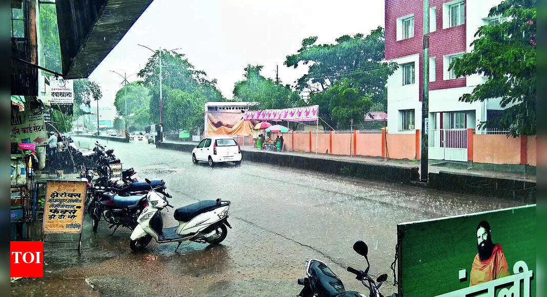 Nashik District: Parts Of Nashik District Face Light Rain, Temperature Drop | Nashik News ...
