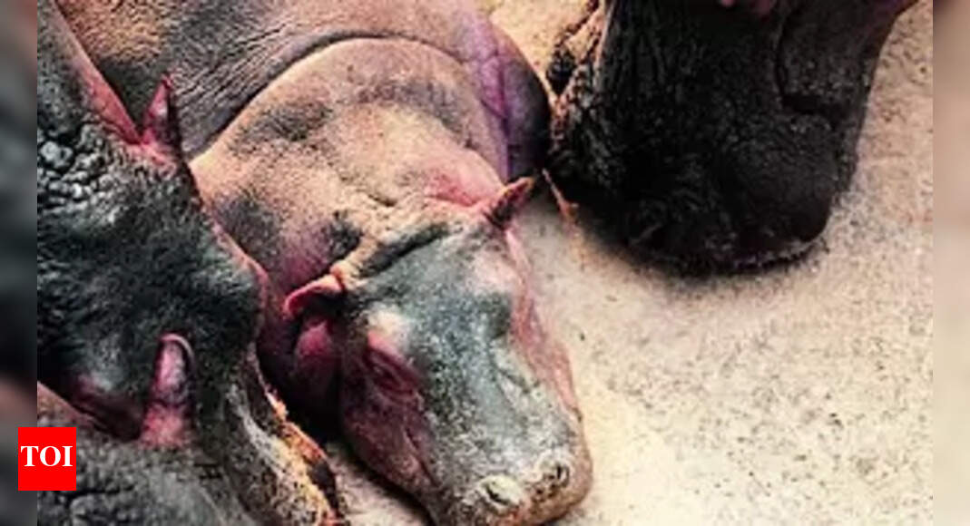 Pilikula: Pilikula Celebrates Birth Of Offspring Of 15 Species ...