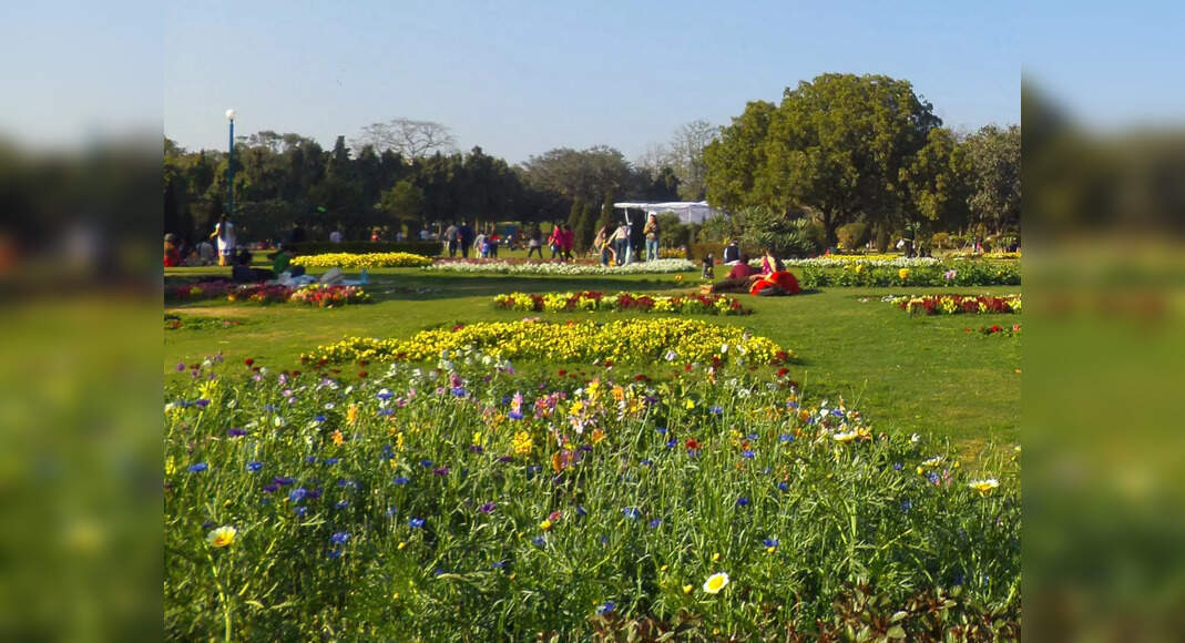 Delhi soon to get a new green park near the iconic Red Fort, thanks to ...