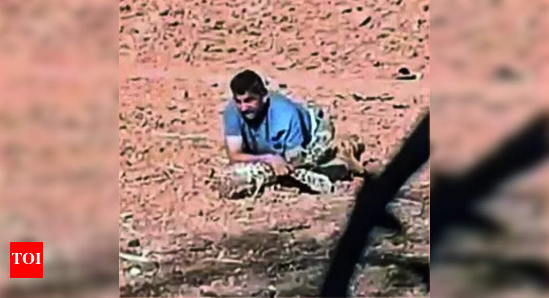 Journalist: Journalist Overpowers Leopard Despite Injuries | Udaipur News - Times of India