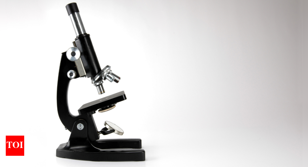 What is a Compound Microscope and What Are Its Basic Uses | - The Times ...