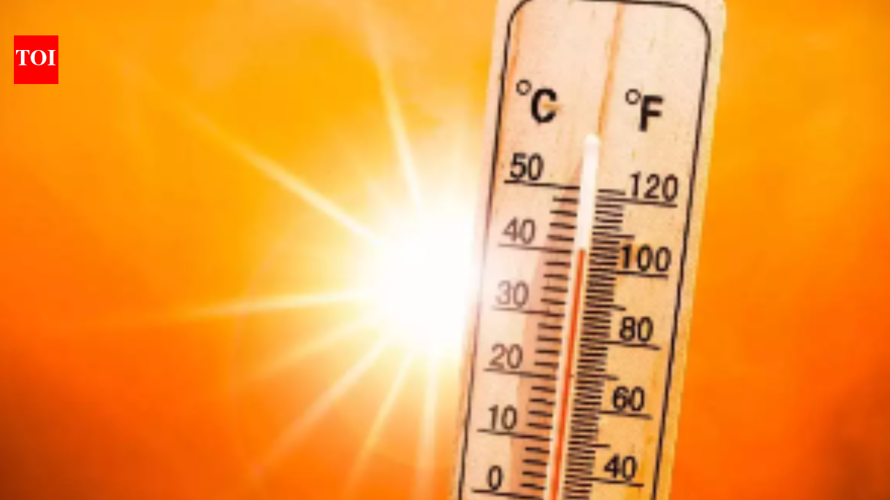 Heat wave warning in Telangana for 2 days as summer becoming hotter ...
