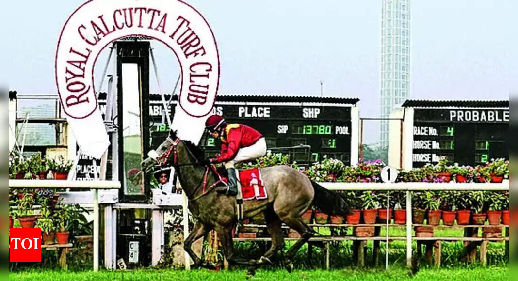 Snow Leopard: Snow Leopard Bags Aazish Cup | Kolkata News - The Times ...