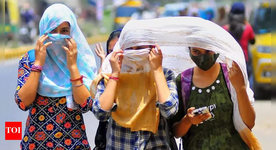India Heatwave Live Updates: Bihar records maximum temperature of 42.2 ...