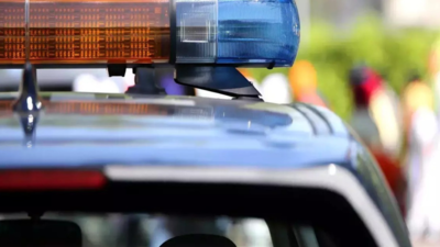 Sitamarhi District: Brothers Killed Over Land Row In Sitamarhi Dist ...