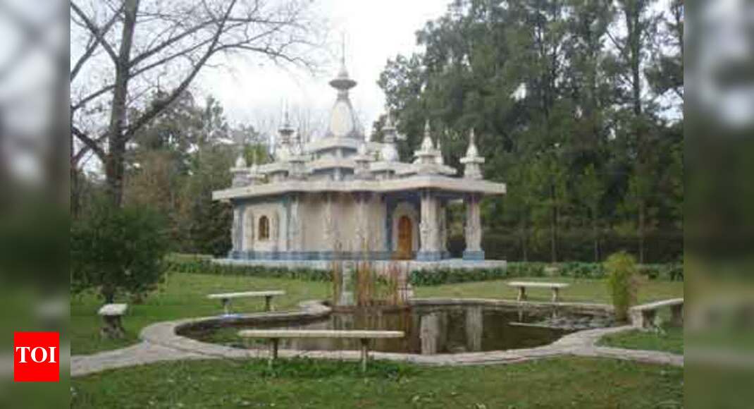 Hastinapur in Argentina - Times of India