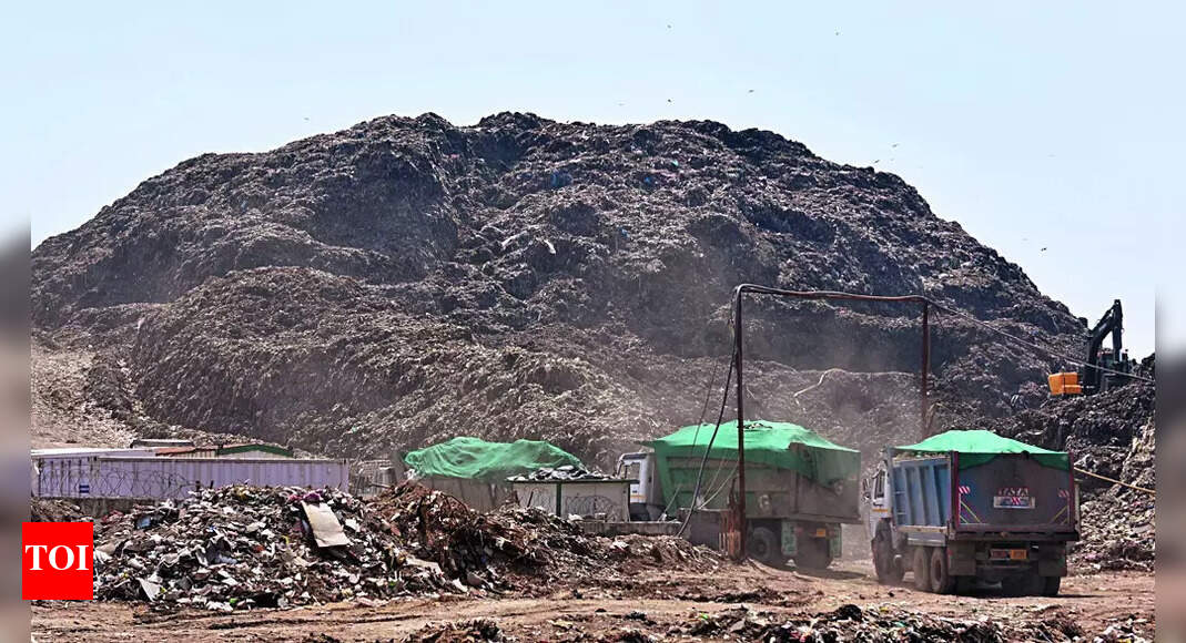 Waste Segregation: No Segregation, Mixed Waste Taken To Landfill: Mcg ...
